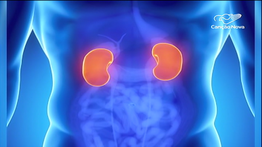 Saiba como é a vida de quem tem apenas um rim