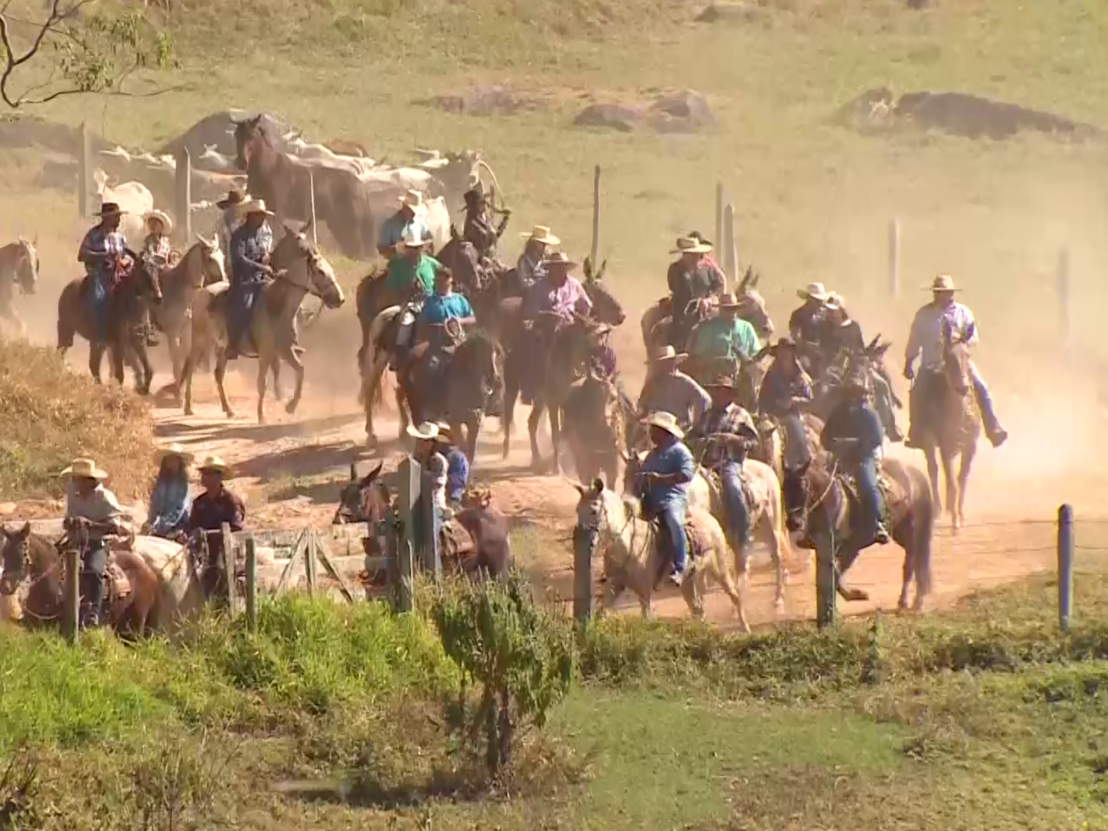 Acompanhe informações sobre a cavalgada na Fazenda da Esperança ...