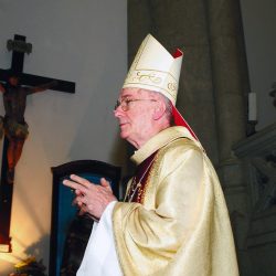 Conheça um pouco da biografia de Dom Cláudio Hummes