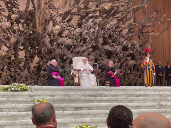 Comemorando 40 anos, Comunidade Shalom se encontra com o Papa