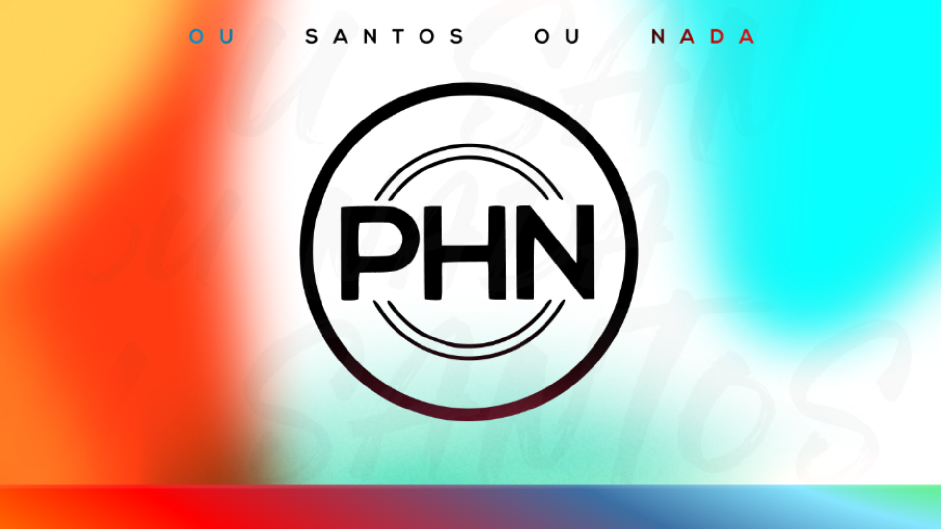 Confira como foi o PHN 2024