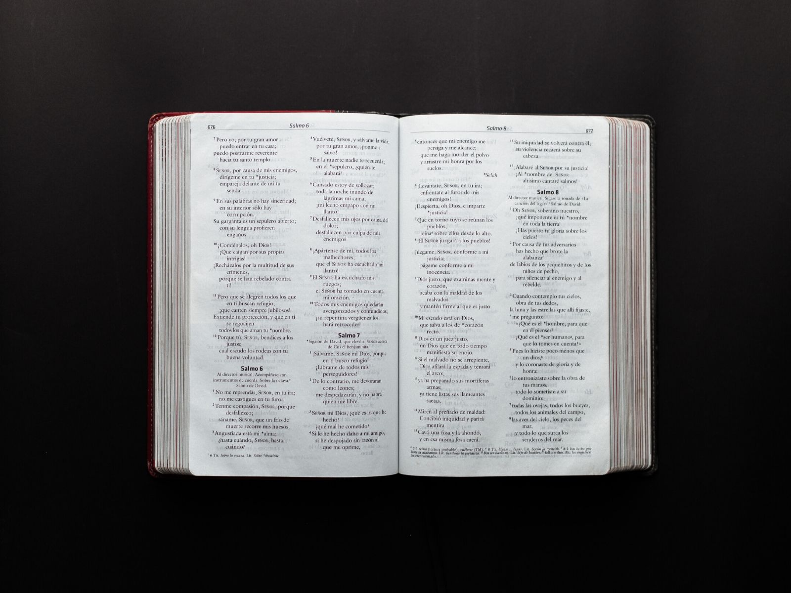 A presença de Jesus nos liberta do poder do maligno - Capa do Portal