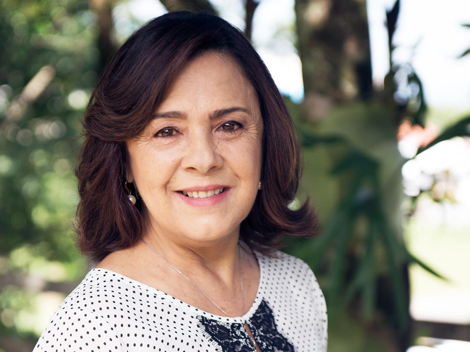 Maria, Mãe da Canção Nova, faz morada em mim - Capa do Portal