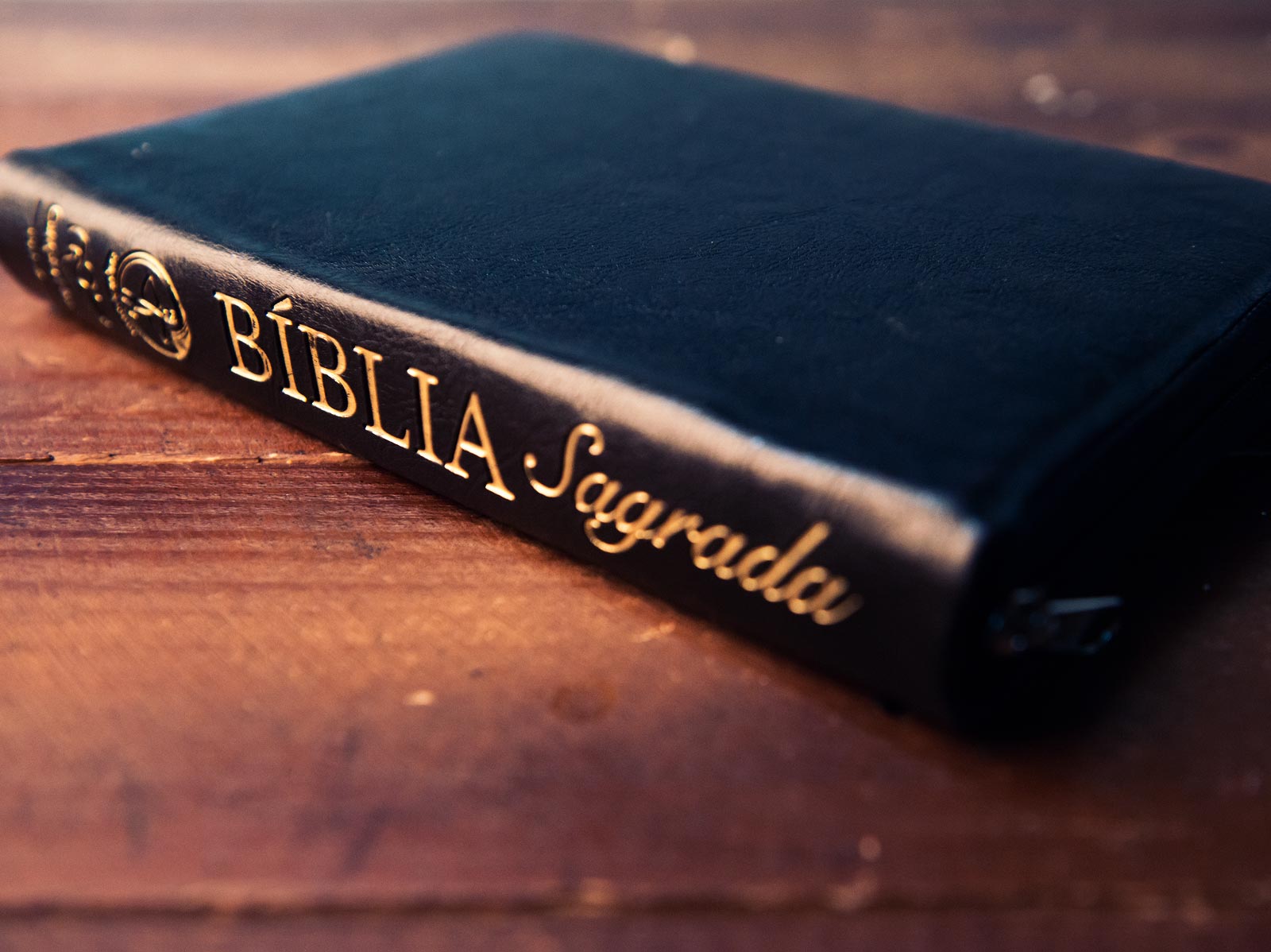 18ª Semana do Tempo Comum | Quinta - feira