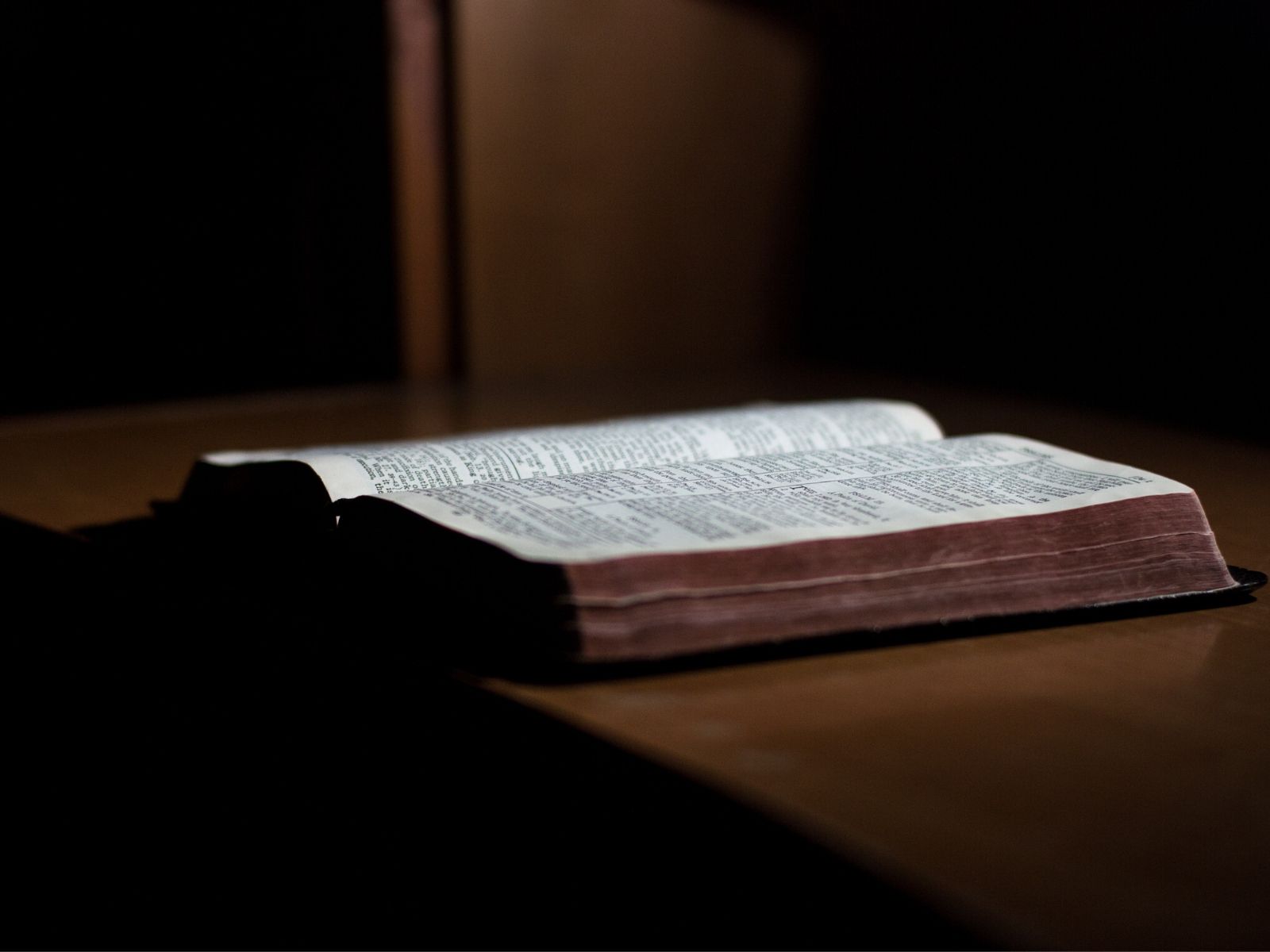 Homilia | Tenhamos compaixão por aquele que sofre