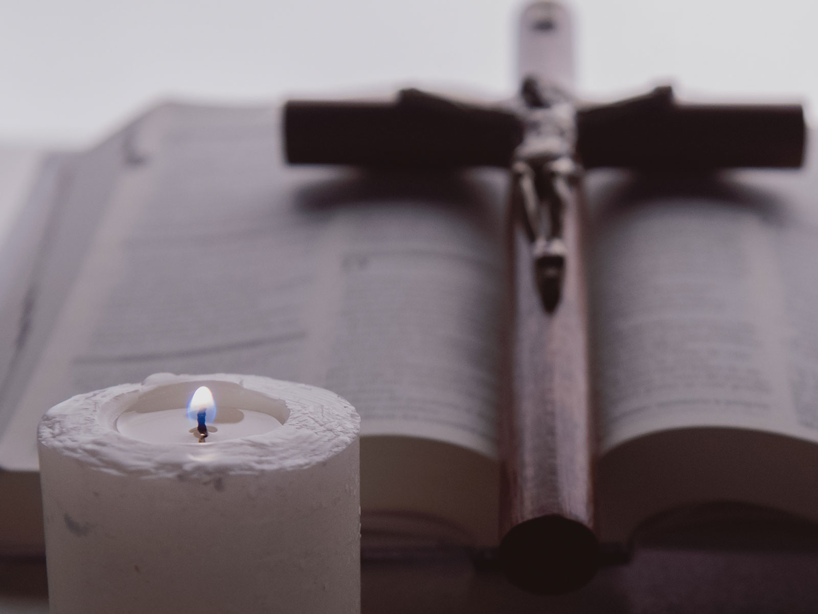 Homilia Diária | Graça, Anjos e o Projeto Original de Deus