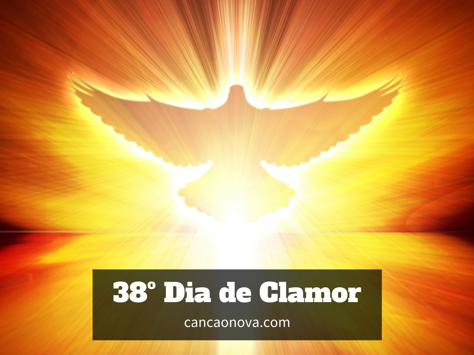 Experiência de Avivamento: 38º dia de clamor - Formação