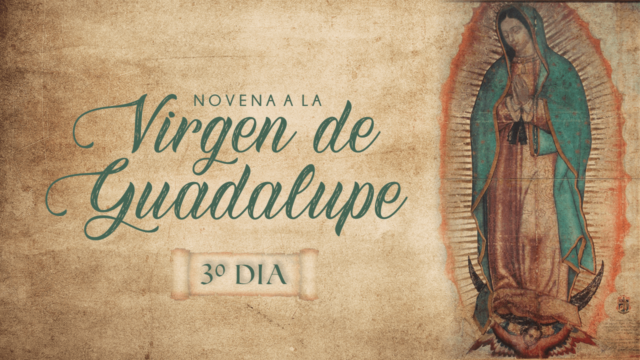 Novena a la Virgen de Guadalupe | 3º Día reza con nosotros