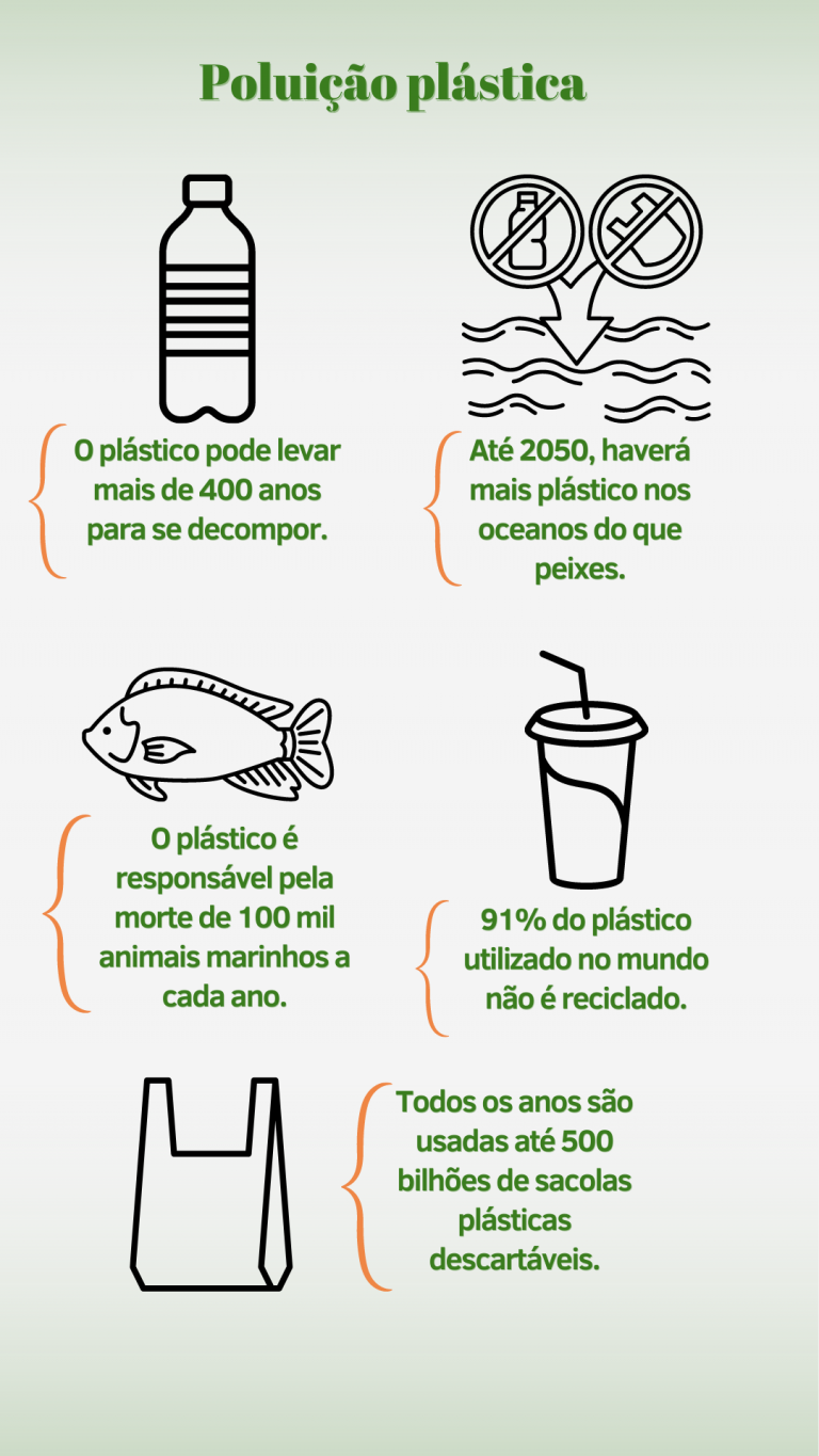 Dia Mundial do Meio Ambiente: a gravidade da poluição plástica