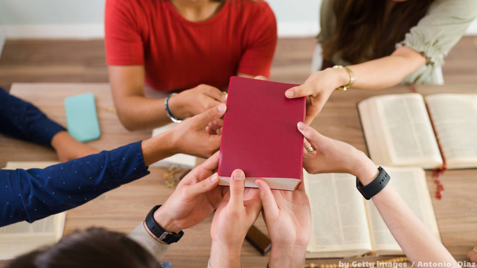 Muitos membros, um só corpo I Mensagem do Dia I Maria Helena Barbosa