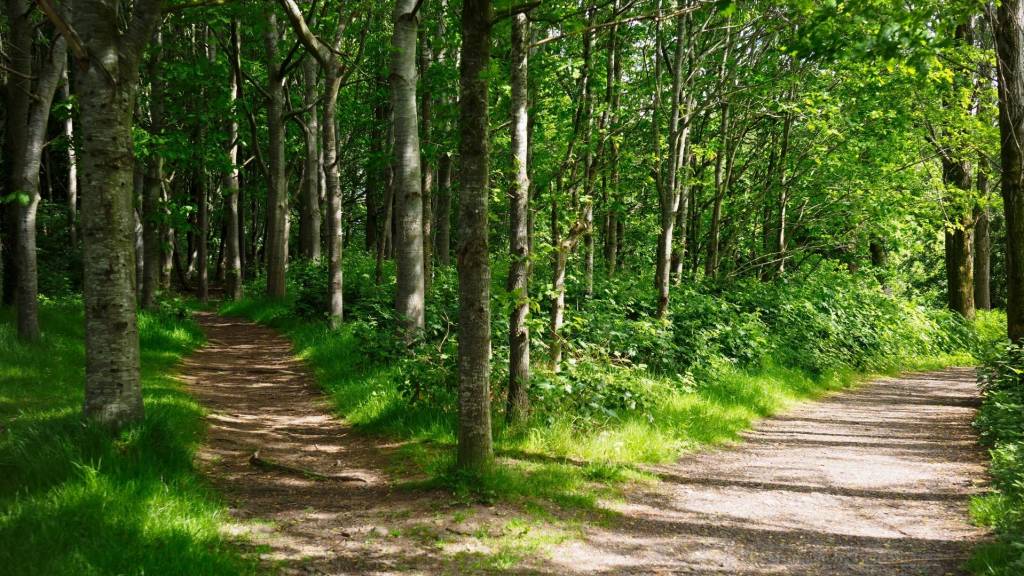 Dois caminhos para a eternidade I Mensagem do Dia I Jarles Pereira